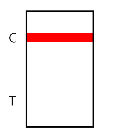 Rapid antigen test (RAT)