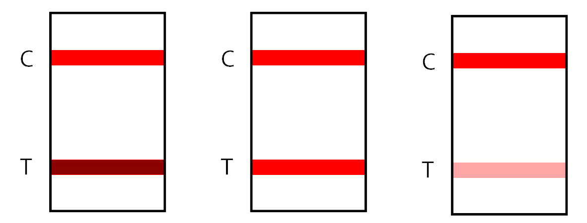 Rapid antigen test (RAT)