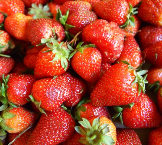 Home - Healthy WA - Western Australian Department of Health